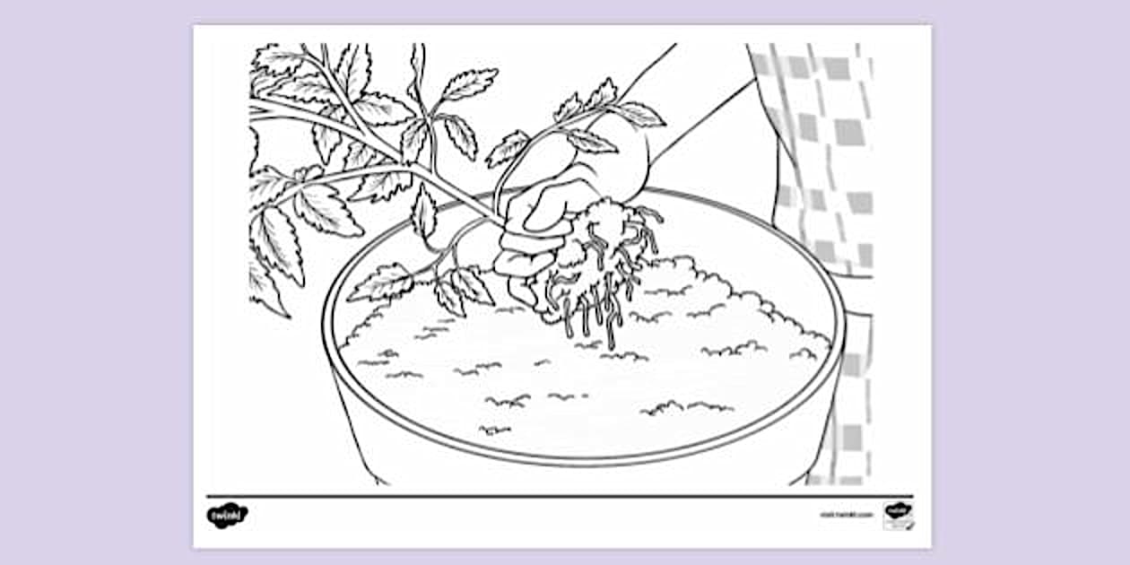 Repot the Plant Again Colouring Sheet | Colouring Sheets