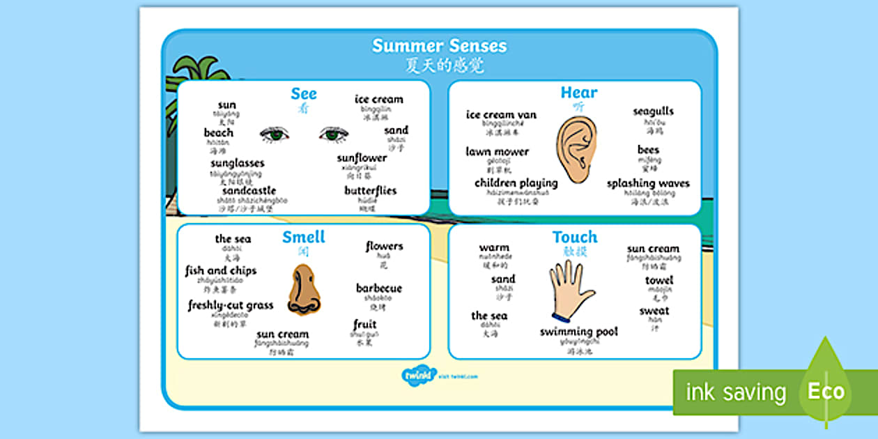 Summer Senses Word Mat English/Mandarin Chinese/Pinyin