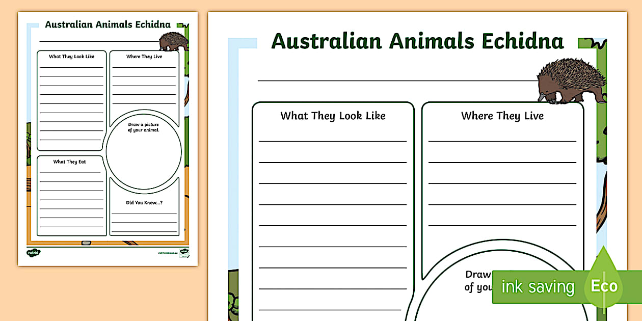 TAS Australian Animals Echidna Information Report Writing Template