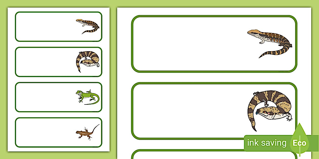 Editable Lizard Name Labels (Teacher-Made) - Twinkl