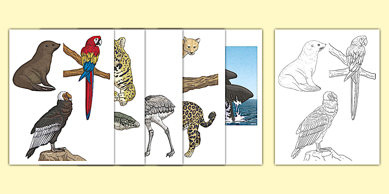 Recortables: fauna de Argentina (teacher made) - Twinkl