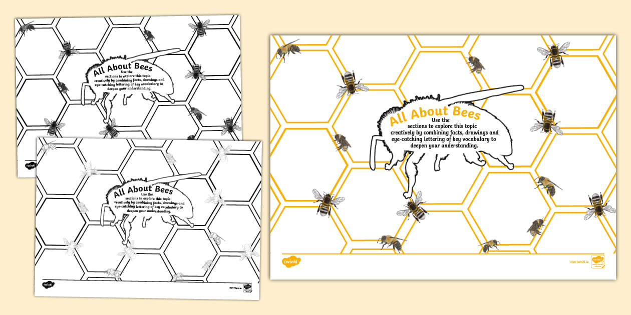 All About Bees Imagimap - Twinkl Imagimap