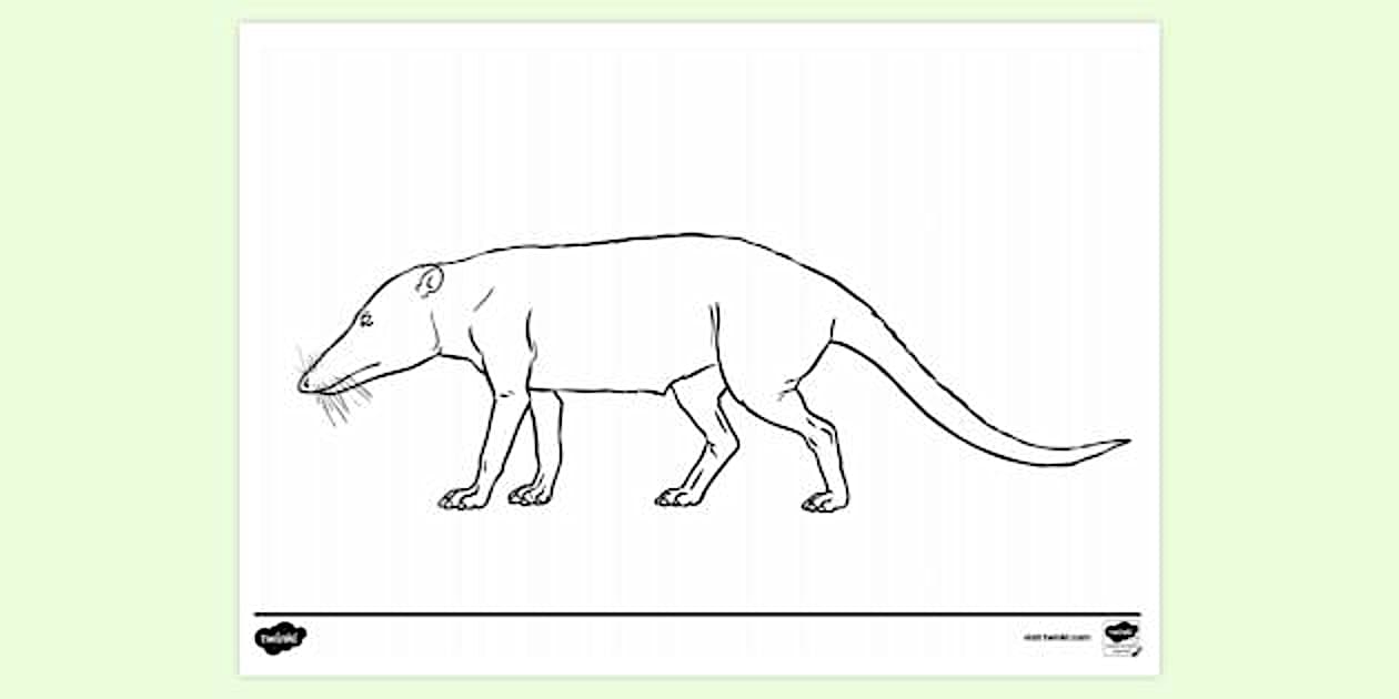 Pakicetus Colouring Sheet | Colouring Sheet - Twinkl