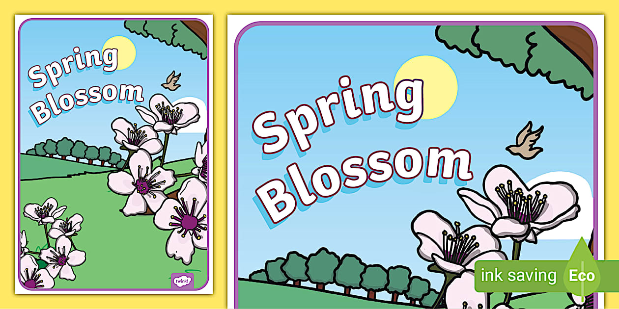 Spring Blossom Display Poster to teach pupils about Spring.