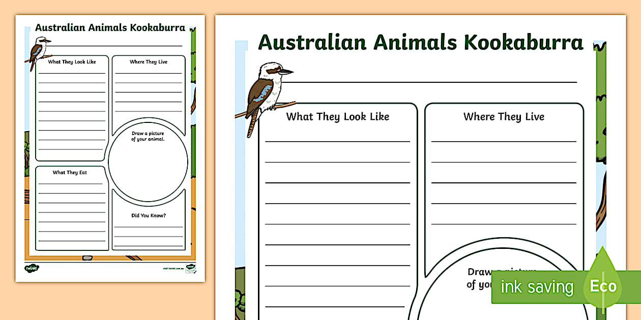 Australian Animals Kookaburra Information Report Writing Template