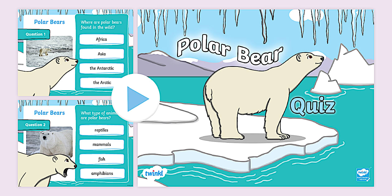 KS1 Polar Bear PowerPoint Quiz - Twinkl - KS1 (teacher made)
