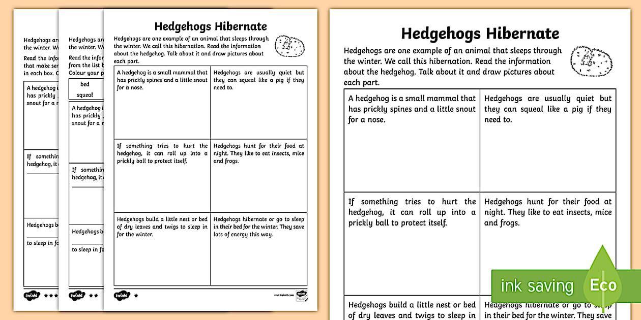 Lower Ability The Story of the Hedgehog Differentiated Worksheets