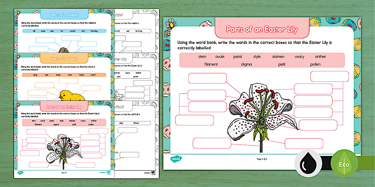 Labelling Spring Plants and Animals Activity Sheets - Twinkl