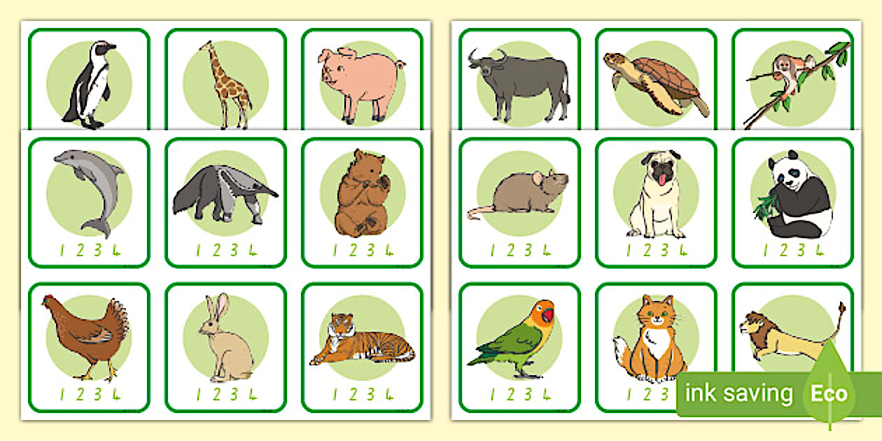 Picture Syllable Cards (Teacher-Made) - Twinkl