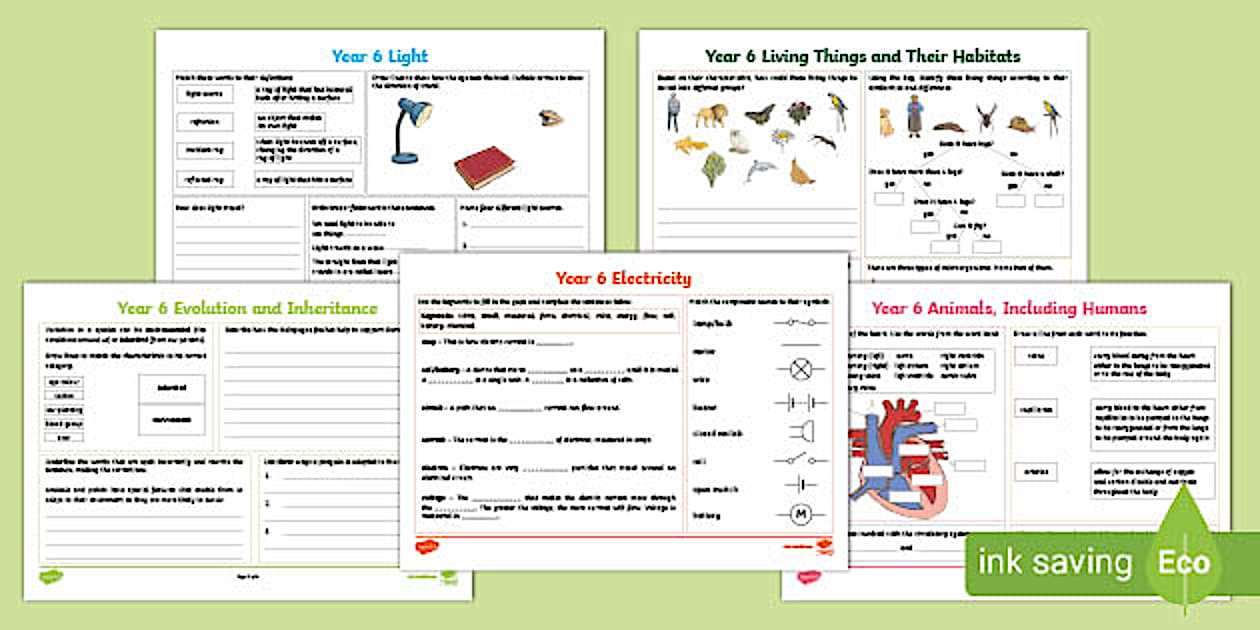Year 6 Science Revision Activity Mat Pack - Twinkl