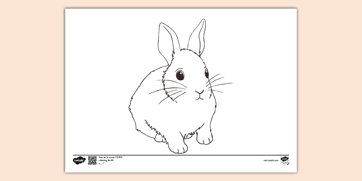 Baby Rabbit Colouring Sheet | Colouring Sheets | Twinkl