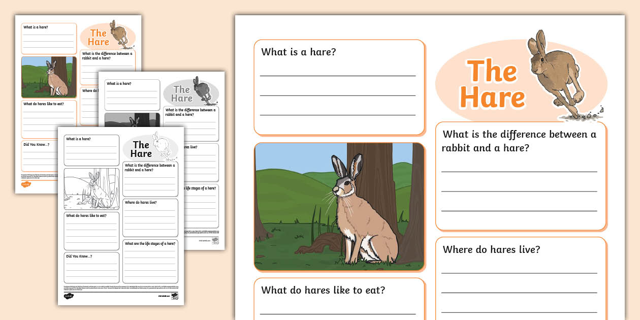 Hare Fact File Template (teacher made) - Twinkl