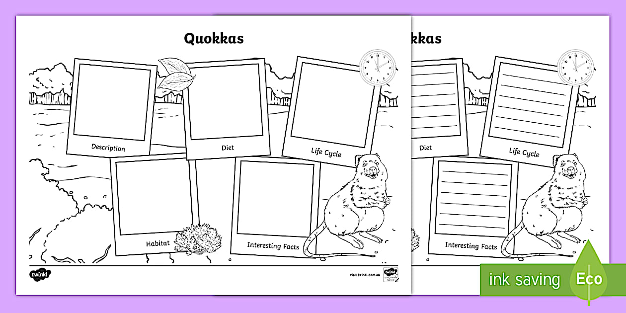 Quokka Snapshots Worksheets (Teacher-Made) - Twinkl