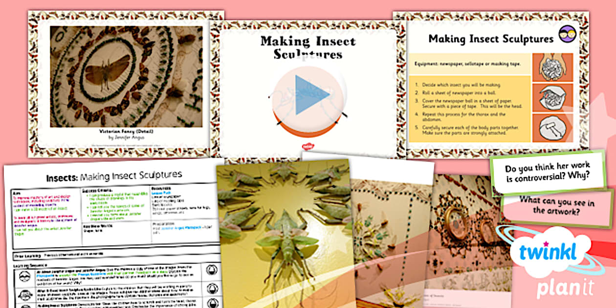 Art: Insects Unit: Making Insect Sculptures LKS2 Lesson Pack 5