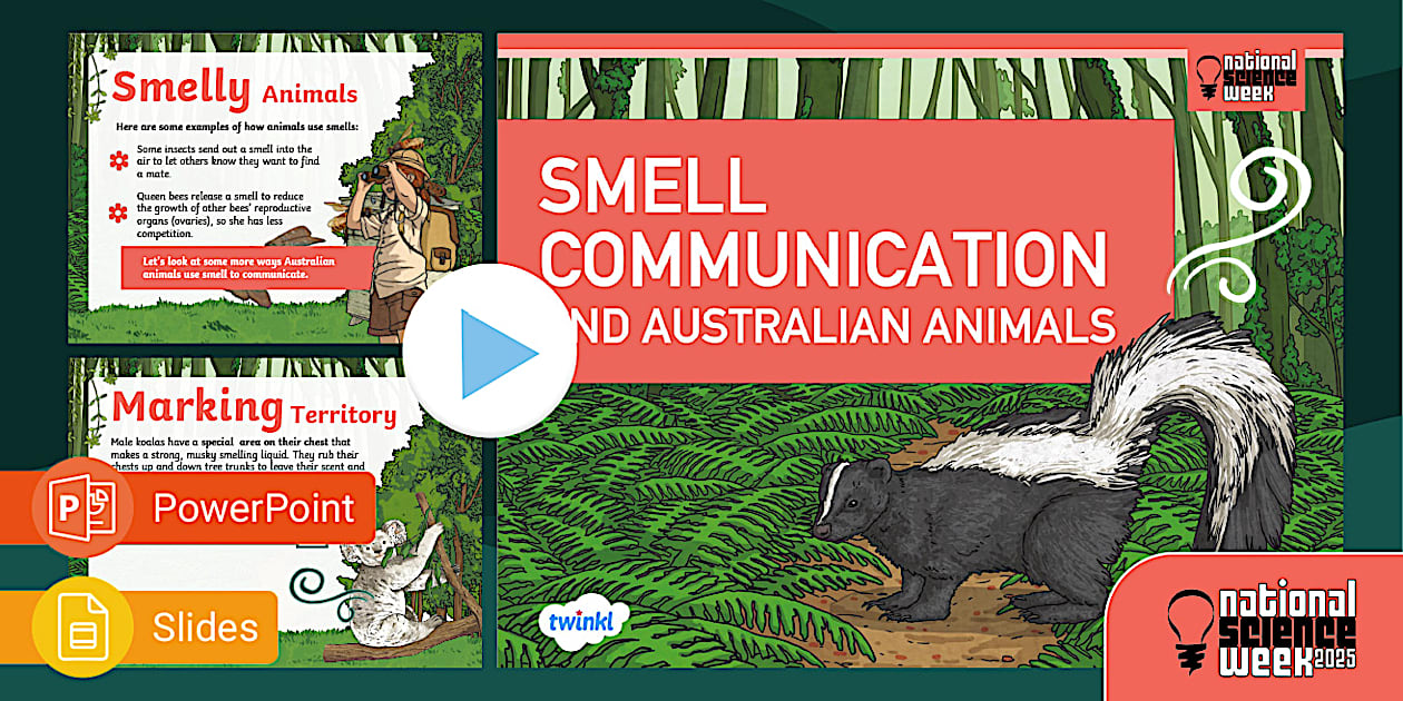 Smells and Australian Animal Communication PowerPoint