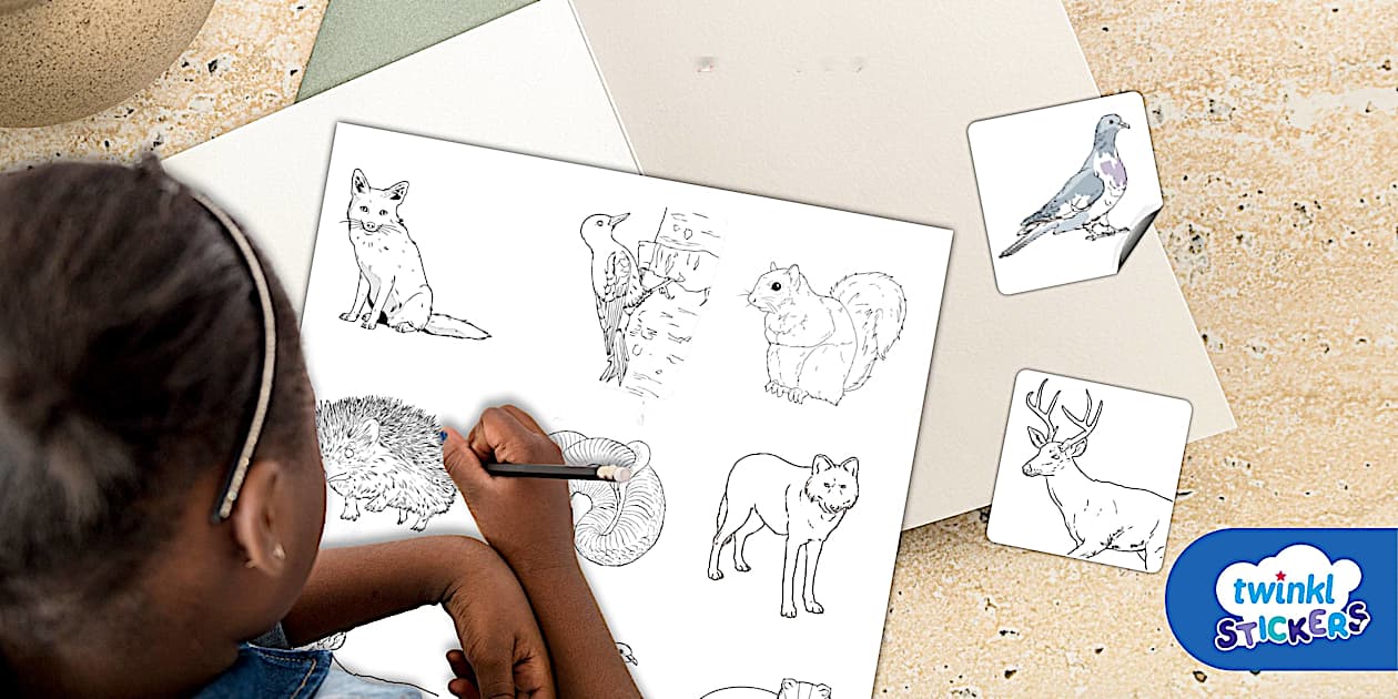 World Wildlife Mindfulness Colouring Woodland AnimalStickers