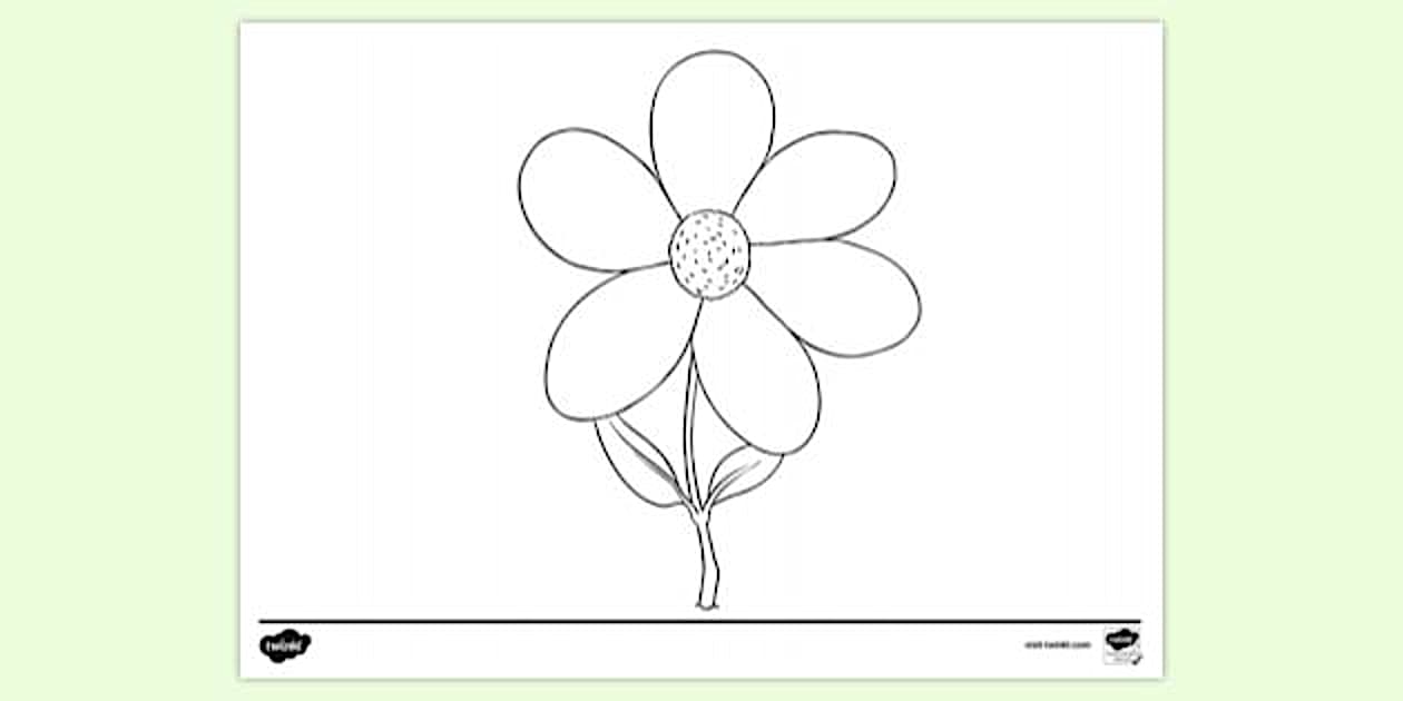 Flower Colouring Page | Colouring Sheets - Twinkl