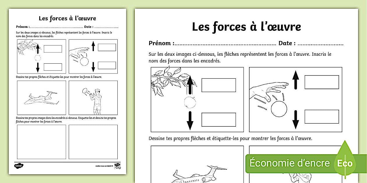 Les forces à l'œuvre (teacher made) - Twinkl