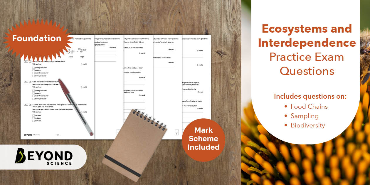 KS3 Ecosystems & Interdependence Foundation Practice Exam