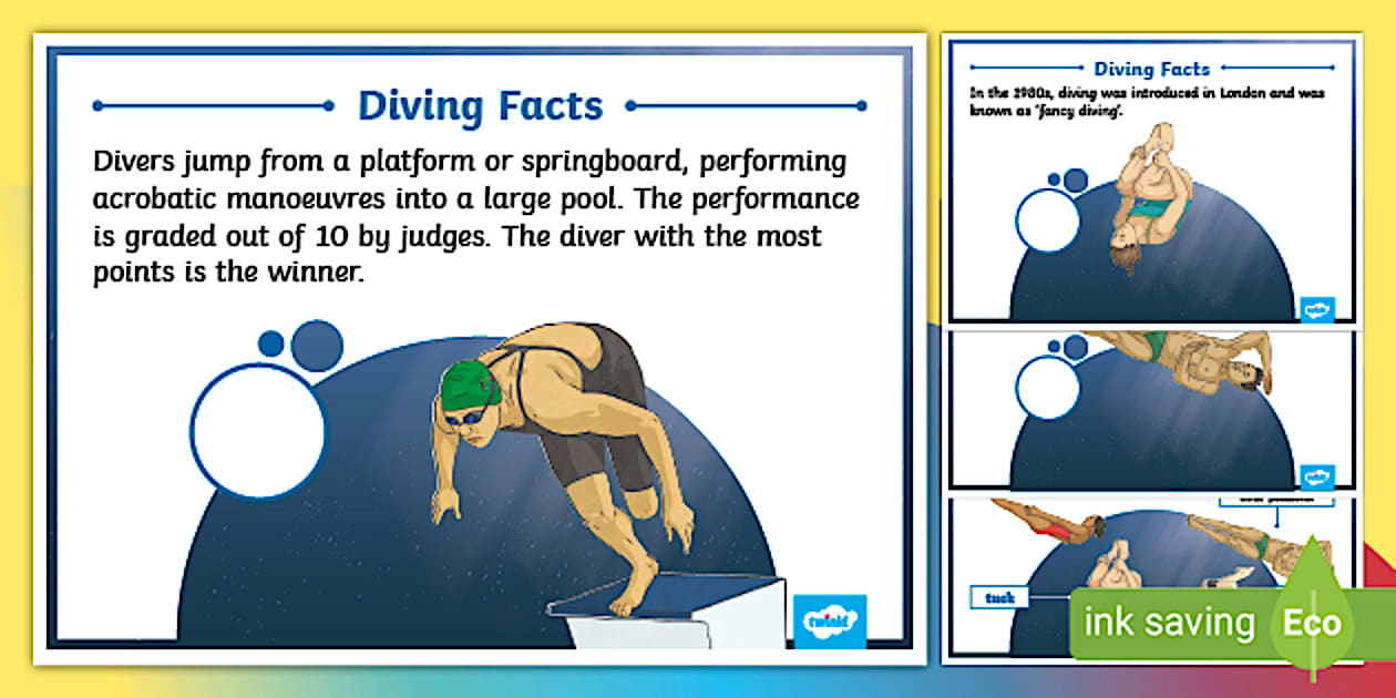 Diving Display Facts (teacher made) - Twinkl