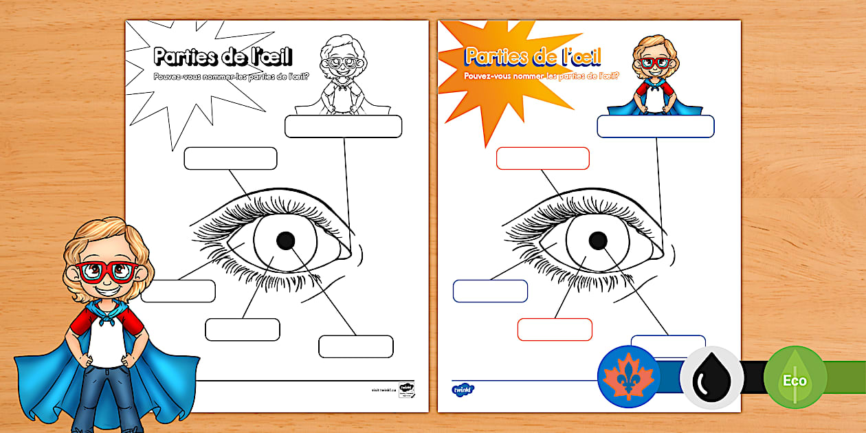 The Extraordinary Eye Parts of the Eye Activity French