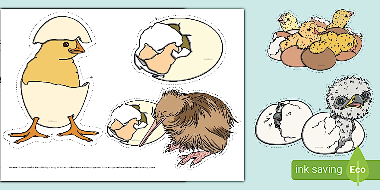Hatching Chick Display Cut-Outs (Teacher-Made) - Twinkl