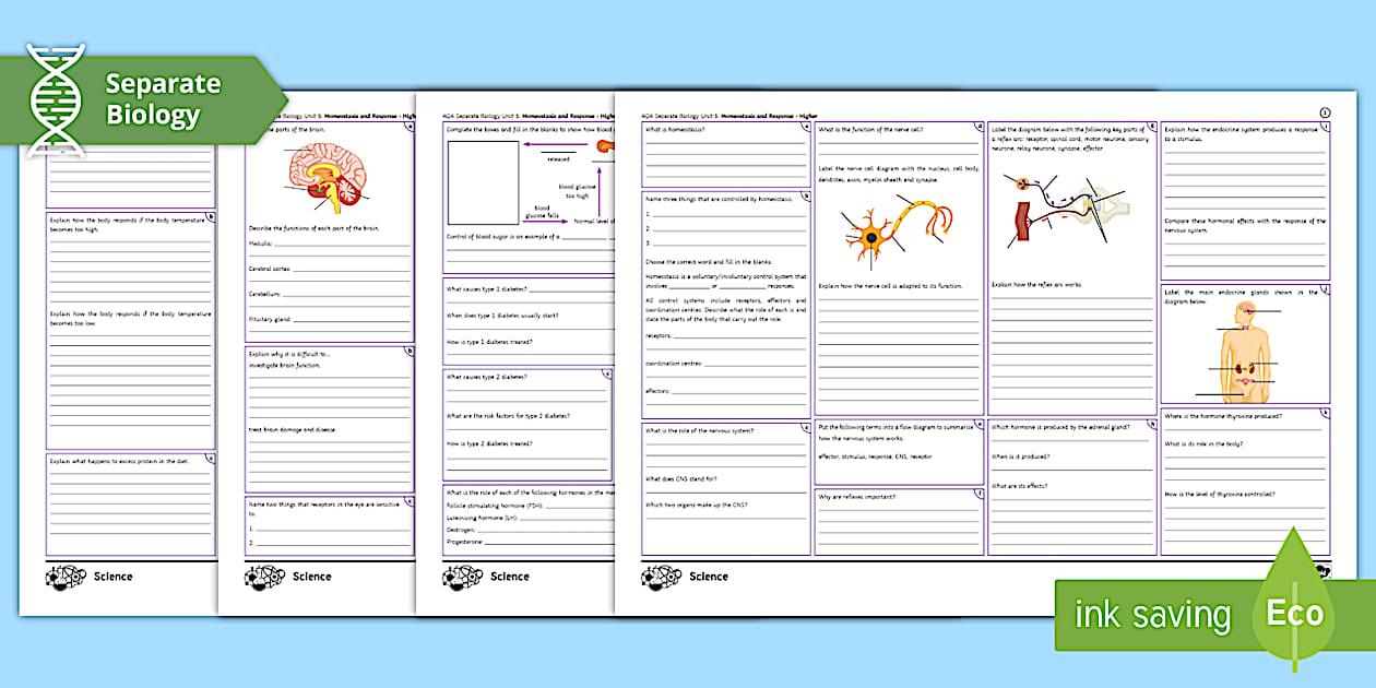 AQA Separate Biology Unit 5: Homeostasis and Response Higher Revision ...