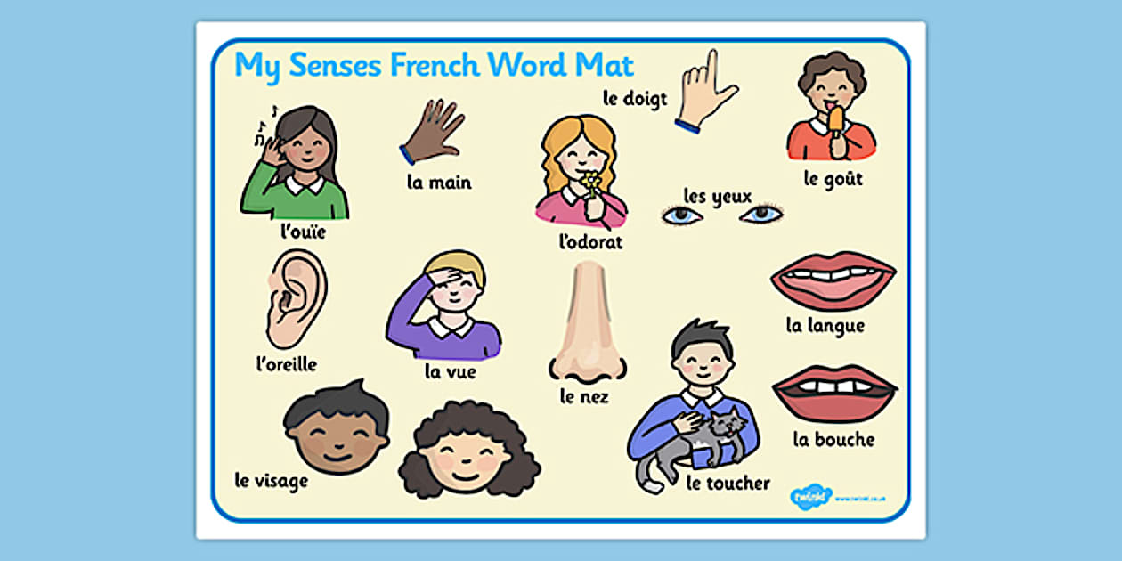 My Senses KS1 Body Parts Word Mat French (teacher made)