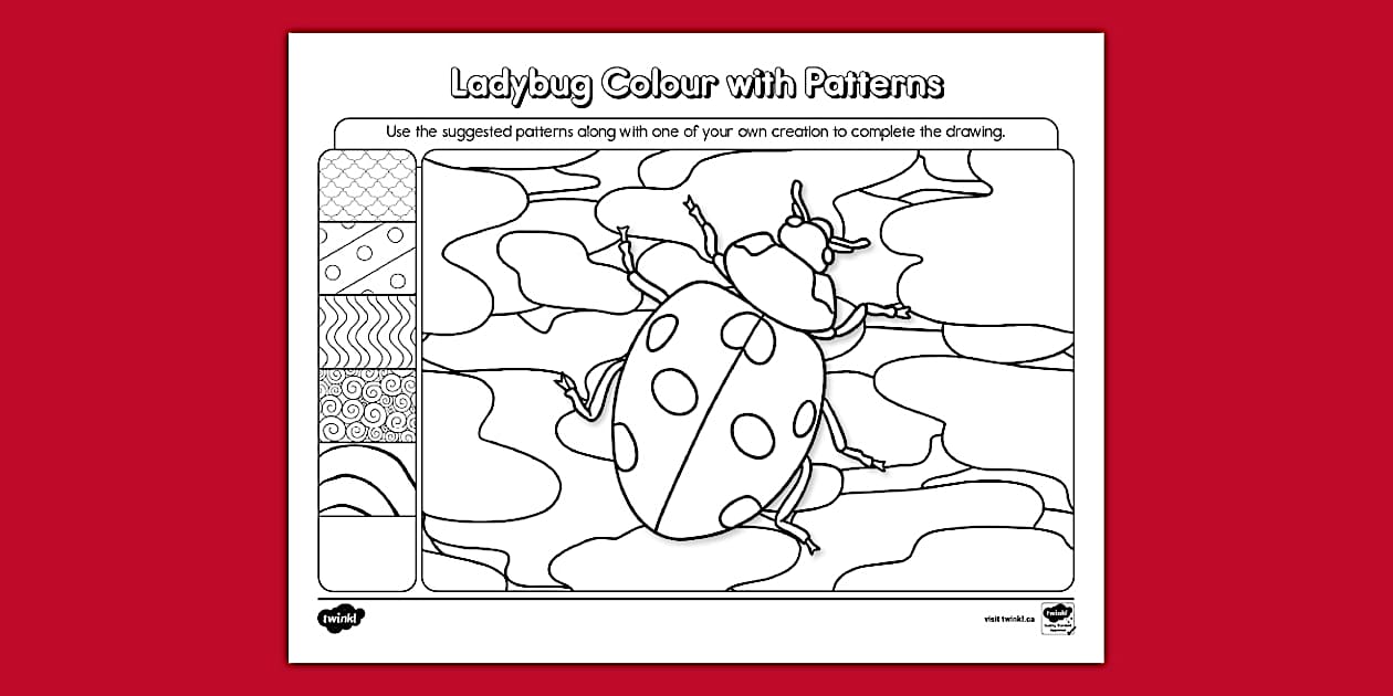 Ladybug Colour with Patterns Activity (teacher made)