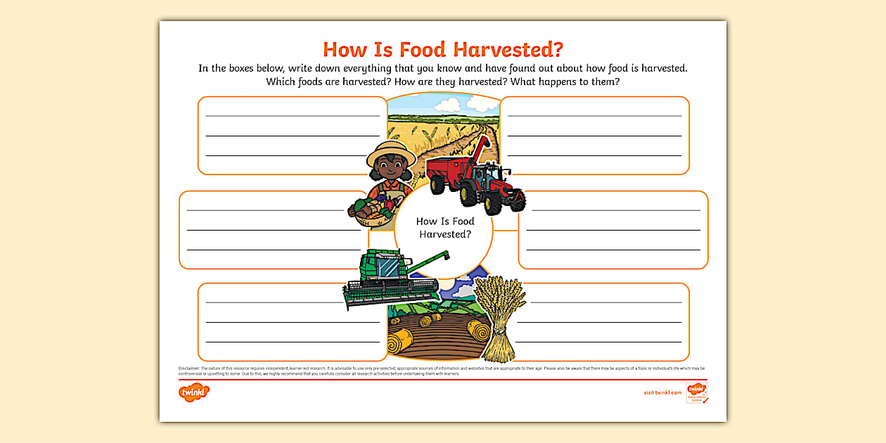 How Is Food Harvested? Mind Map (teacher made) - Twinkl
