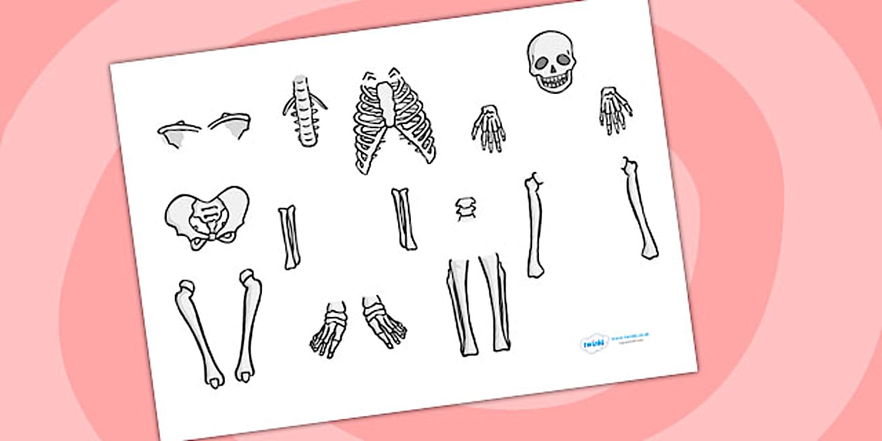 Skeleton Cut Out (teacher made) - Twinkl