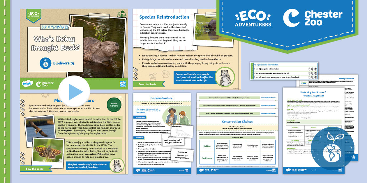 FREE! - Year 5 Biodiversity Lesson: Species Reintroduction