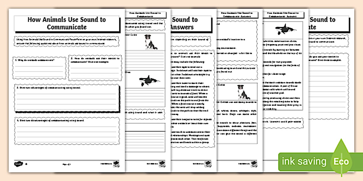 Worksheets on Animal Communication | CfE Resources | Twinkl