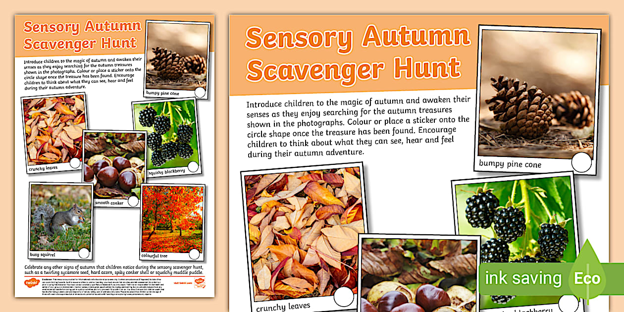 Sensory Autumn Scavenger Hunt | Twinkl