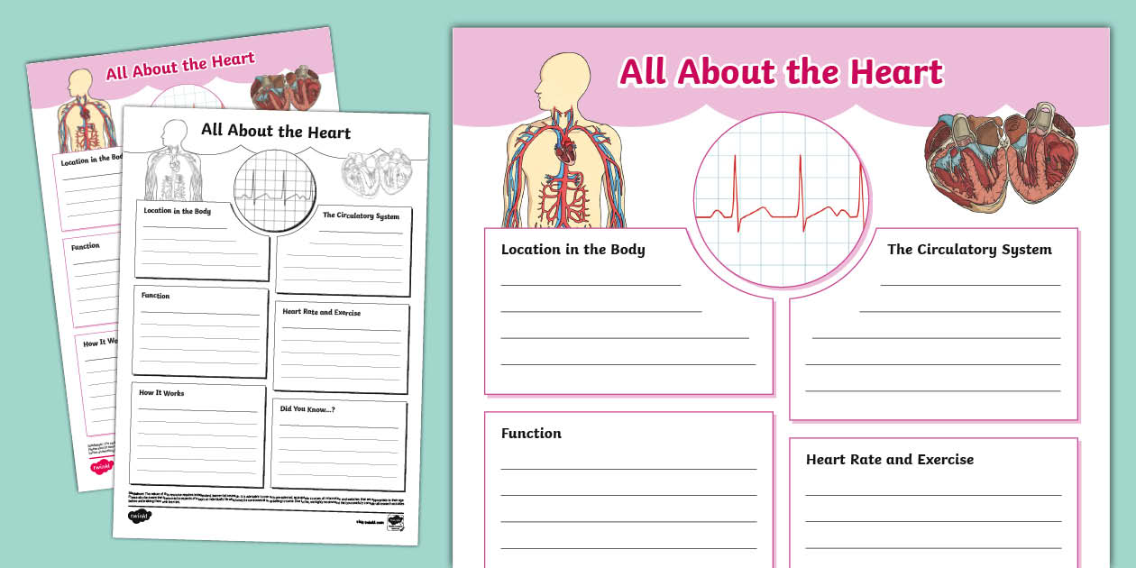 All About Our Heart Fact File Template (Teacher-Made)