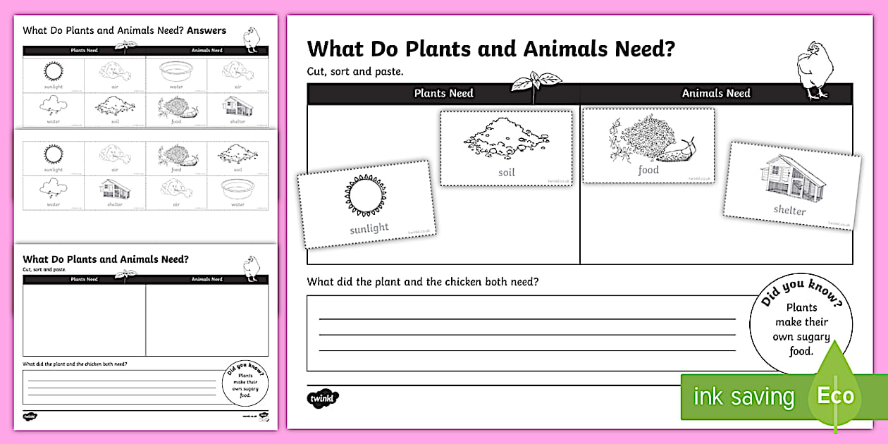 SA Plants and Animals Needs Worksheet (teacher made)