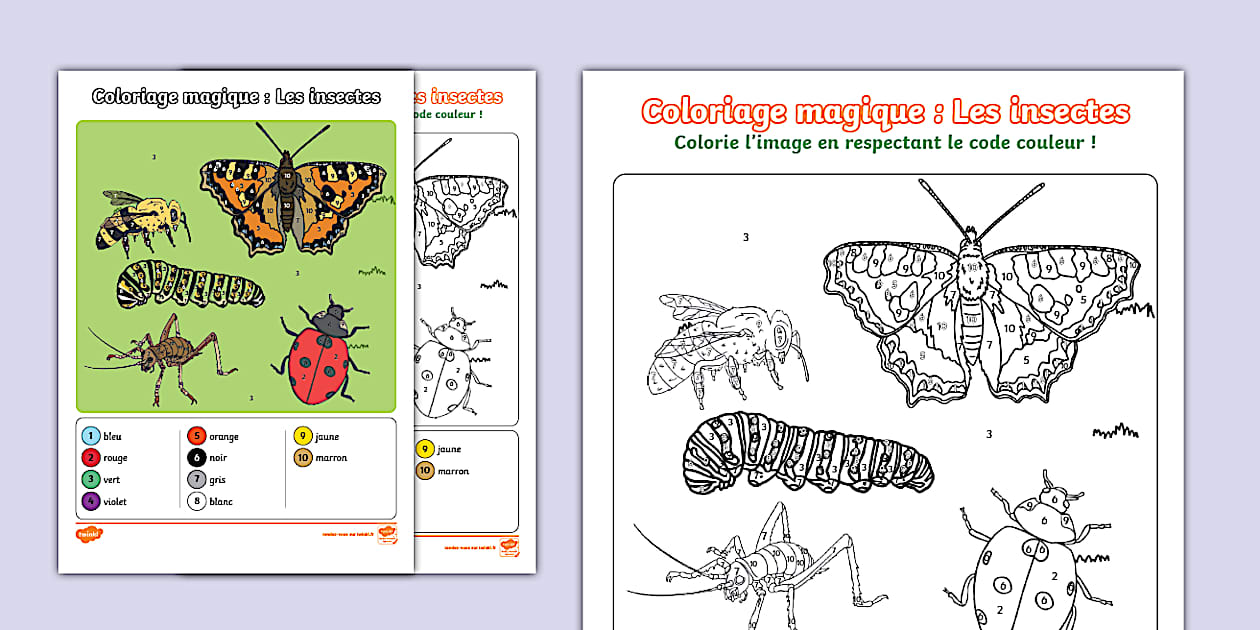 Coloriage magique : Les insectes (teacher made) - Twinkl