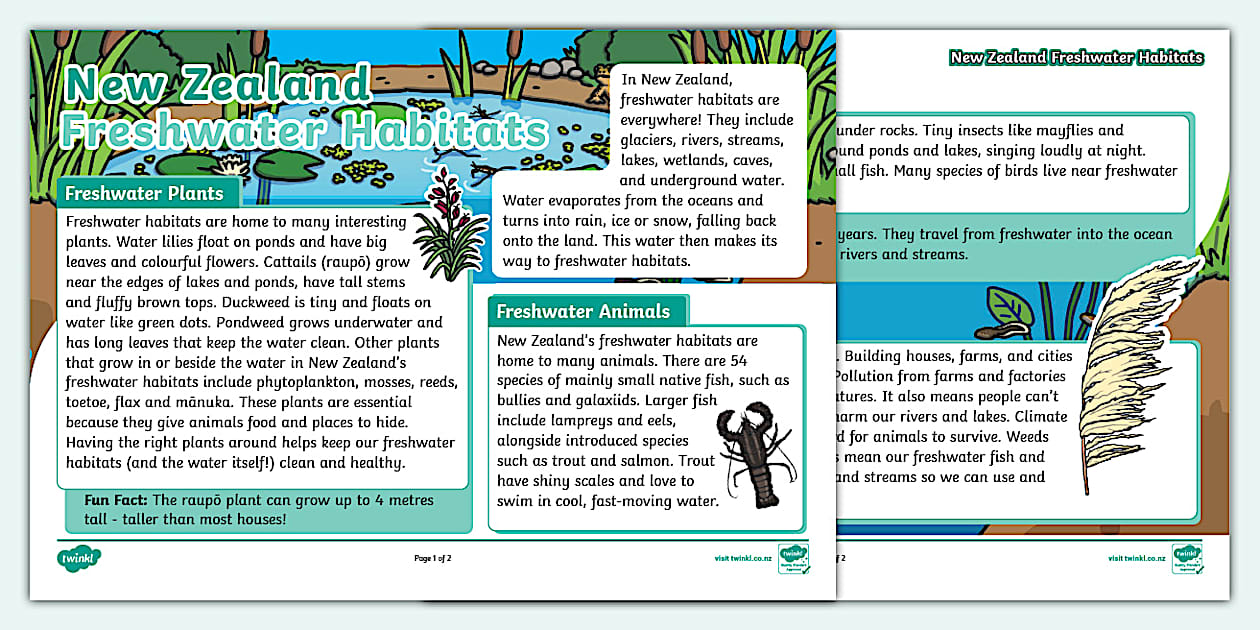 New Zealand Freshwater Habitats Fact File (teacher made)