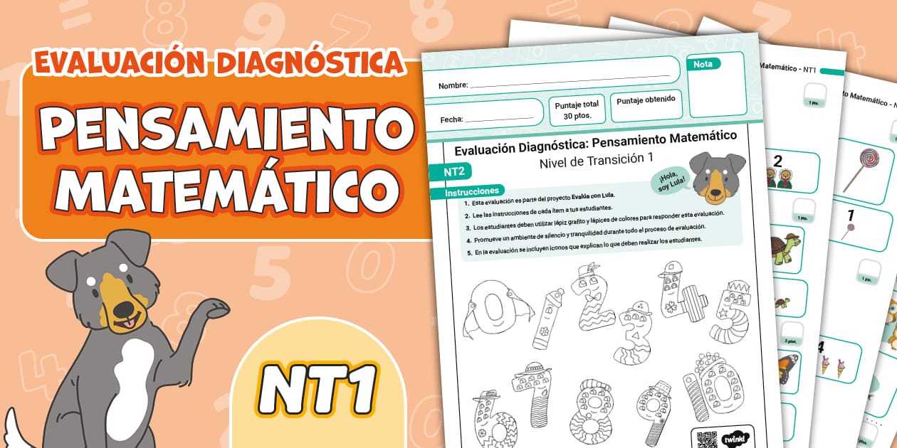 Evaluación | Diagnóstica | NT1 | habilidades | Matemáticas