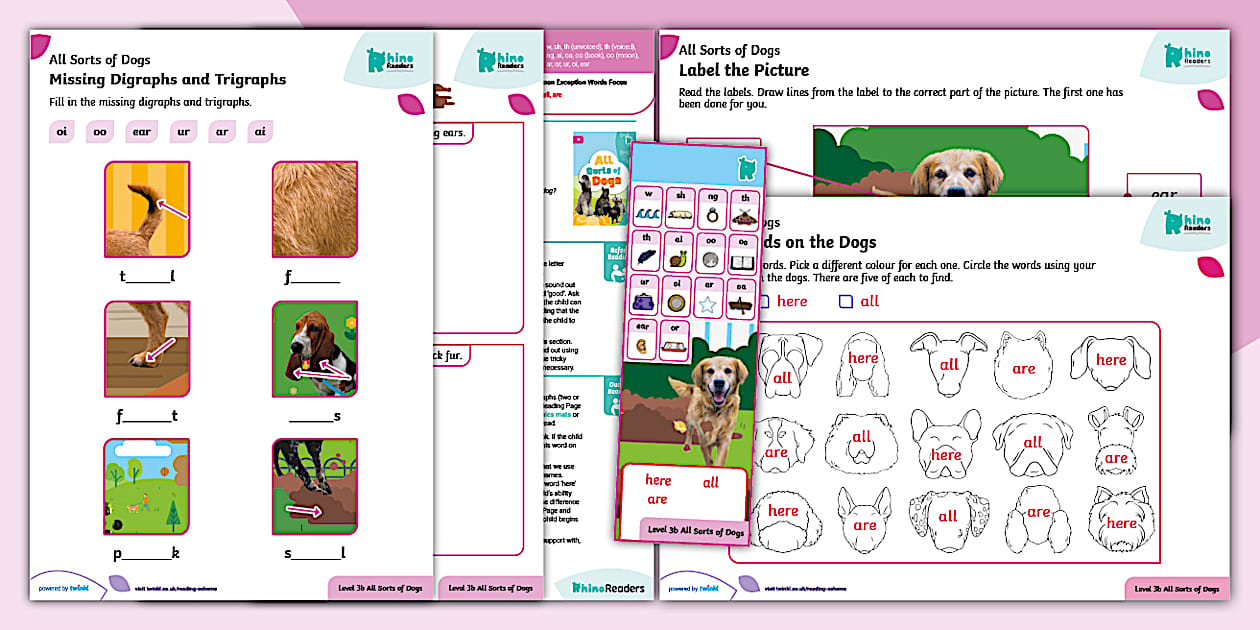 3b All Sorts of Dogs: Resource Pack - Twinkl Rhino Readers
