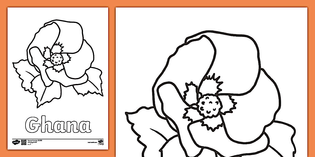 National Flower of Ghana Colouring Sheet (teacher made)