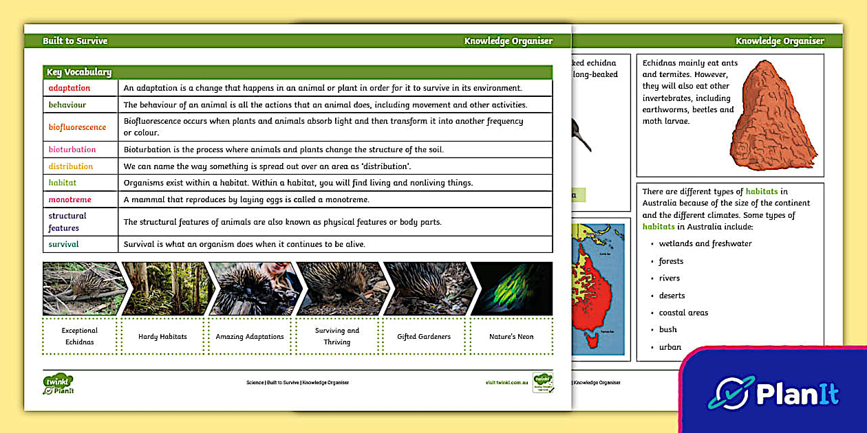 Year 5 Science Built to Survive Knowledge Organiser - Twinkl