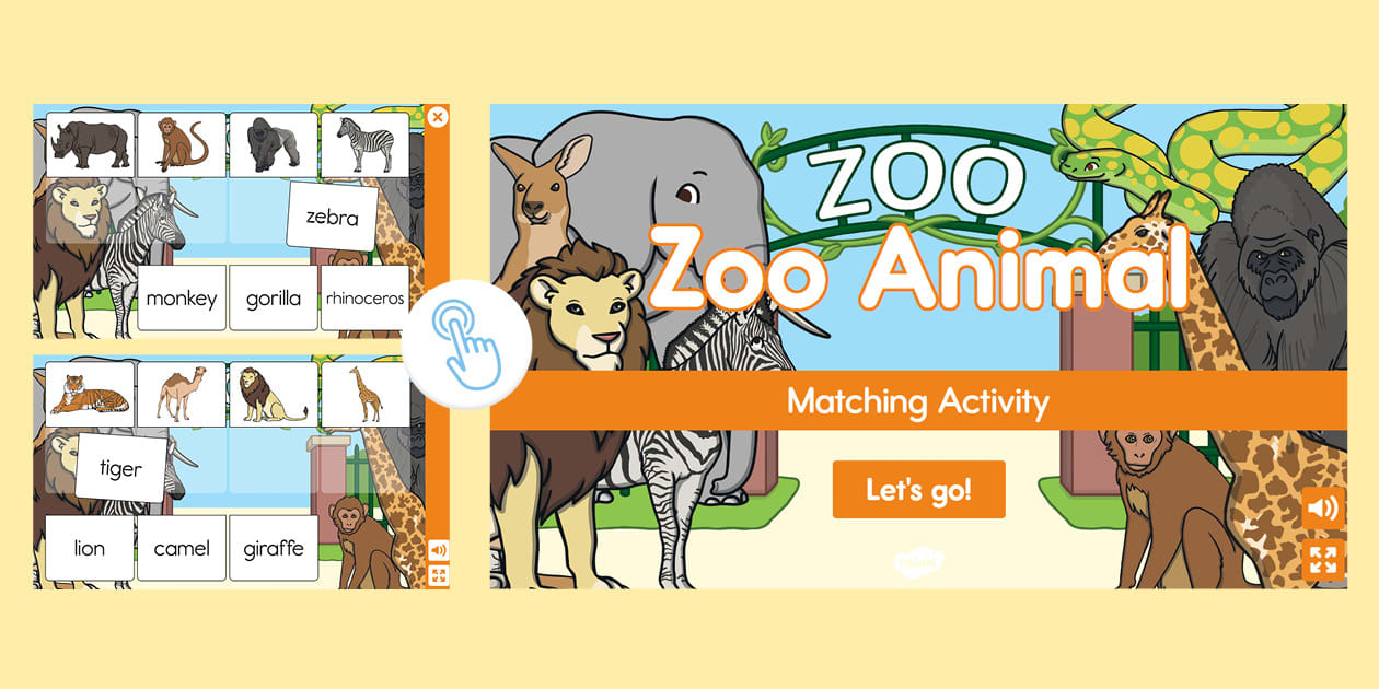 Zoo Match Game | Animals | Twinkl USA
