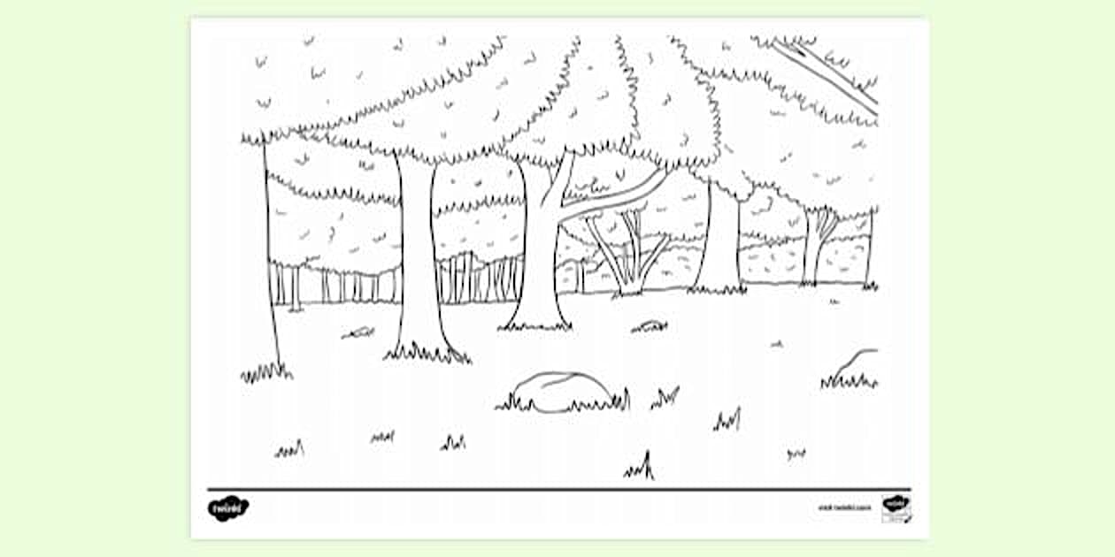 Outdoor Colouring Page for Children - Primary Resources