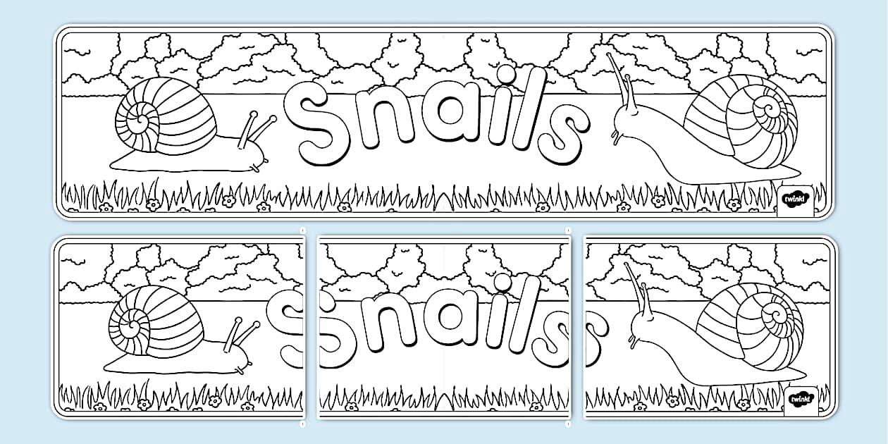Snail Colouring Display Banner (teacher made) - Twinkl