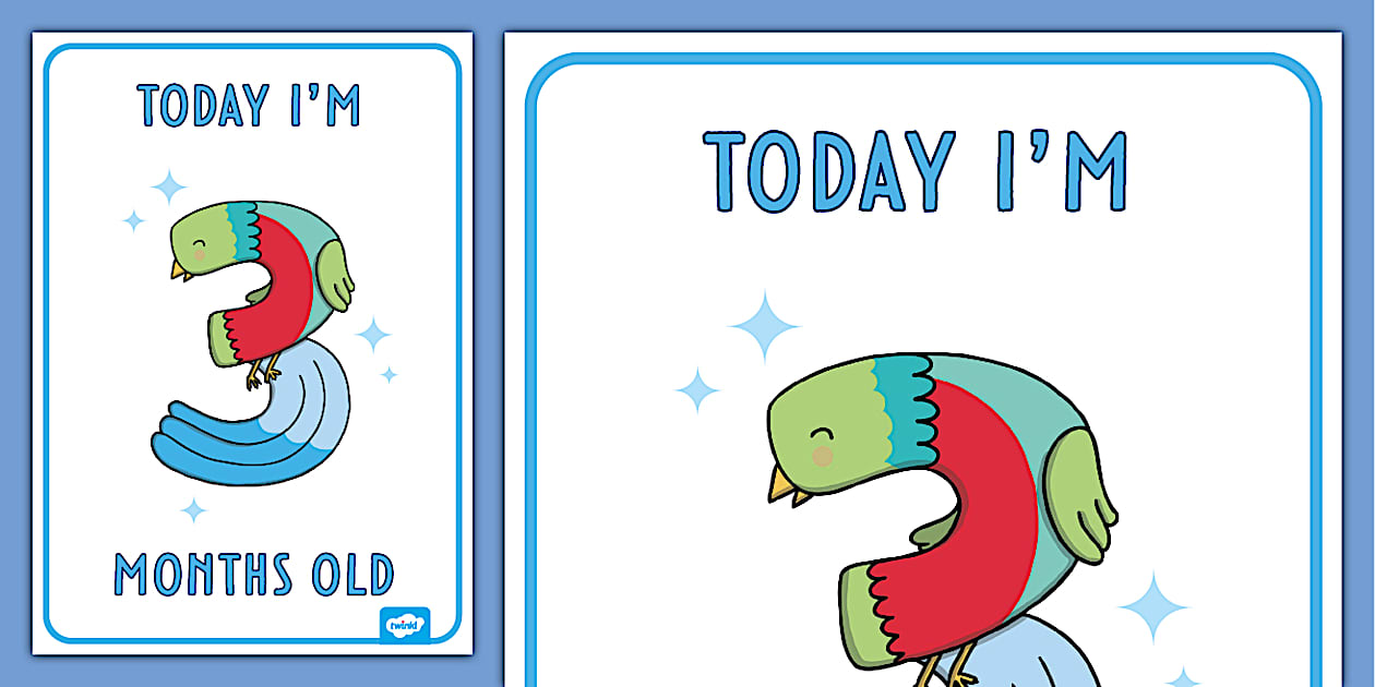 Today I'm 3 Months - Baby Milestone Poster (teacher made)