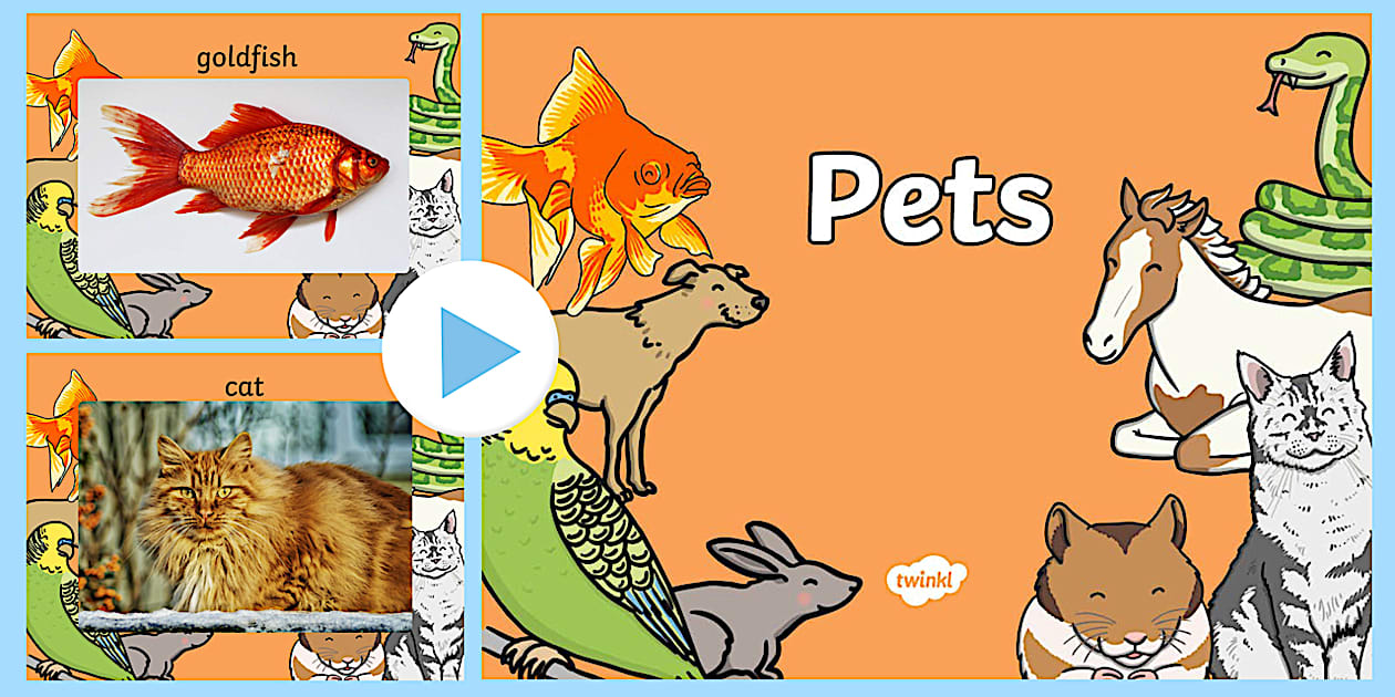 Pets Photo PowerPoint (Teacher-Made) - Twinkl
