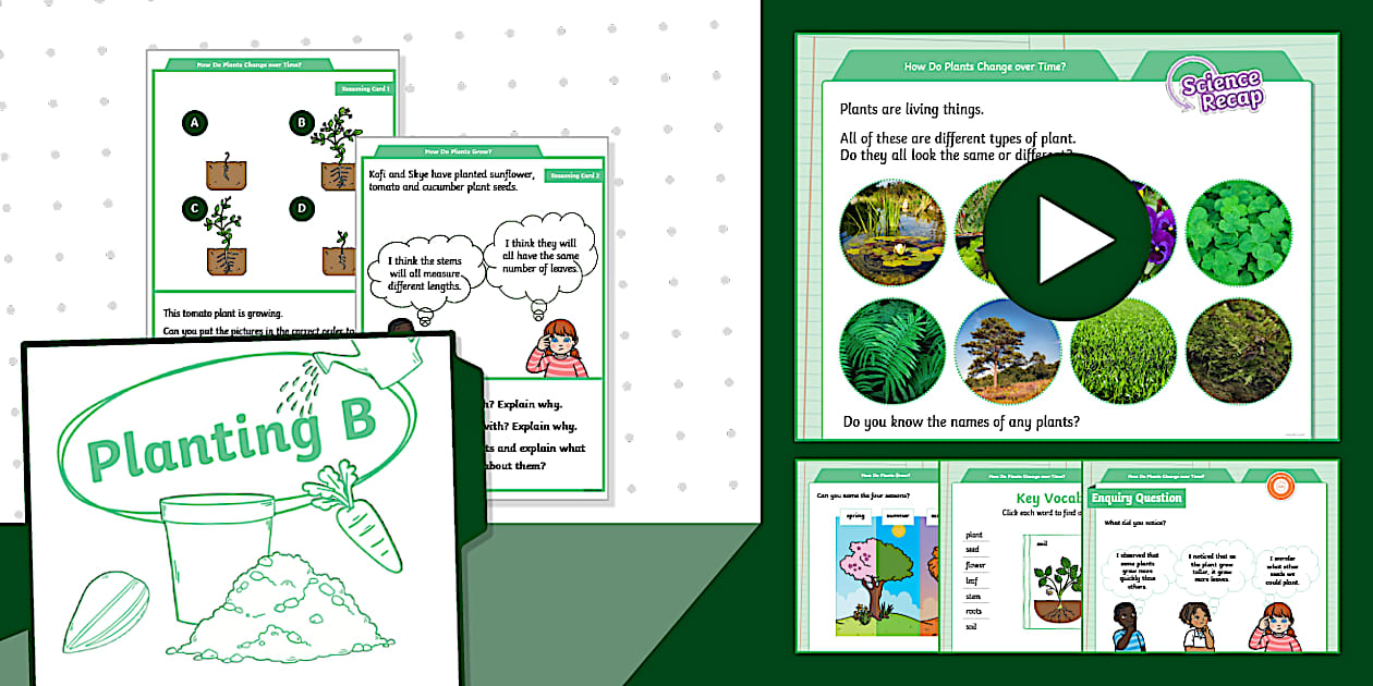 Step into Science: Y1: Spring: Block 5: Planting B: Steps 1 to 2
