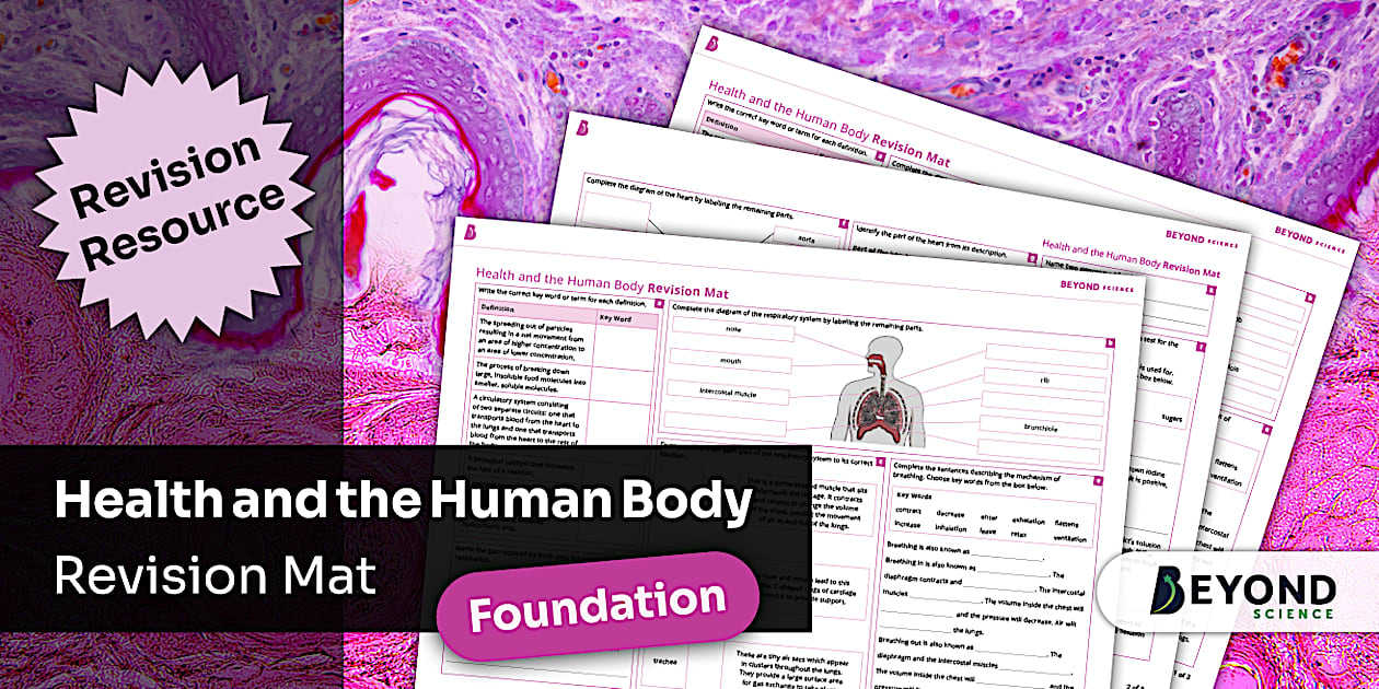 KS3 Health and the Human Body Foundation Revision Mat