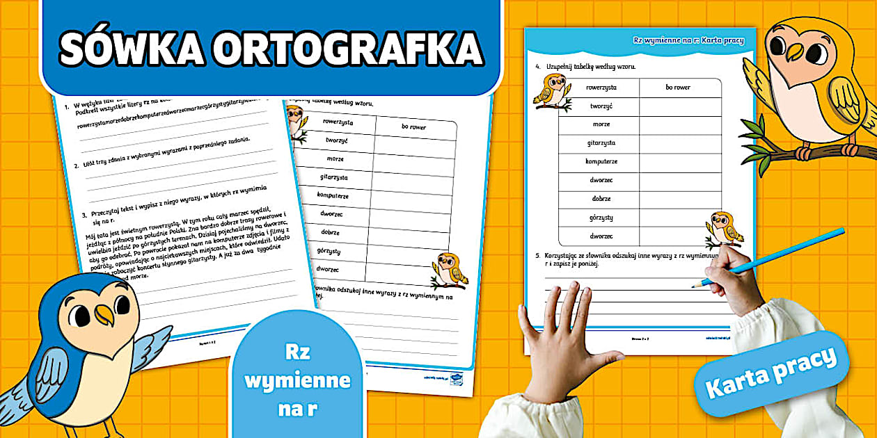 Sówka Ortografka | Rz wymienne na r | Karta pracy - Twinkl